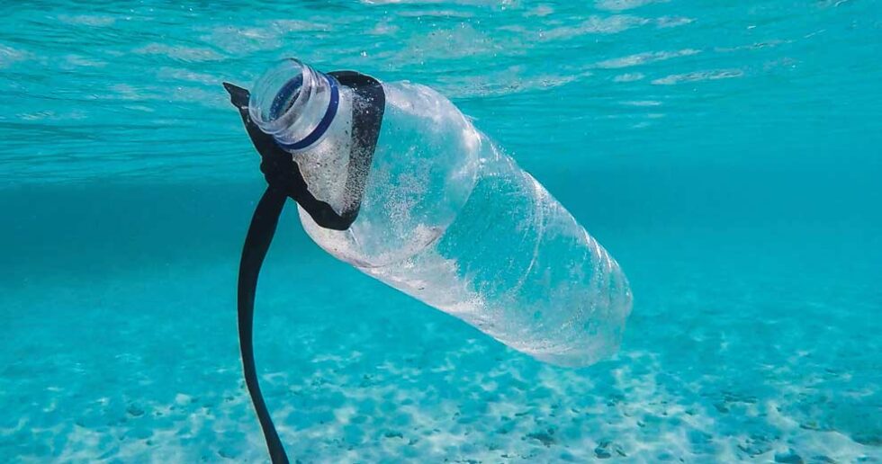 How to Ditch Single-Use Plastics While Traveling - Teach and Travel